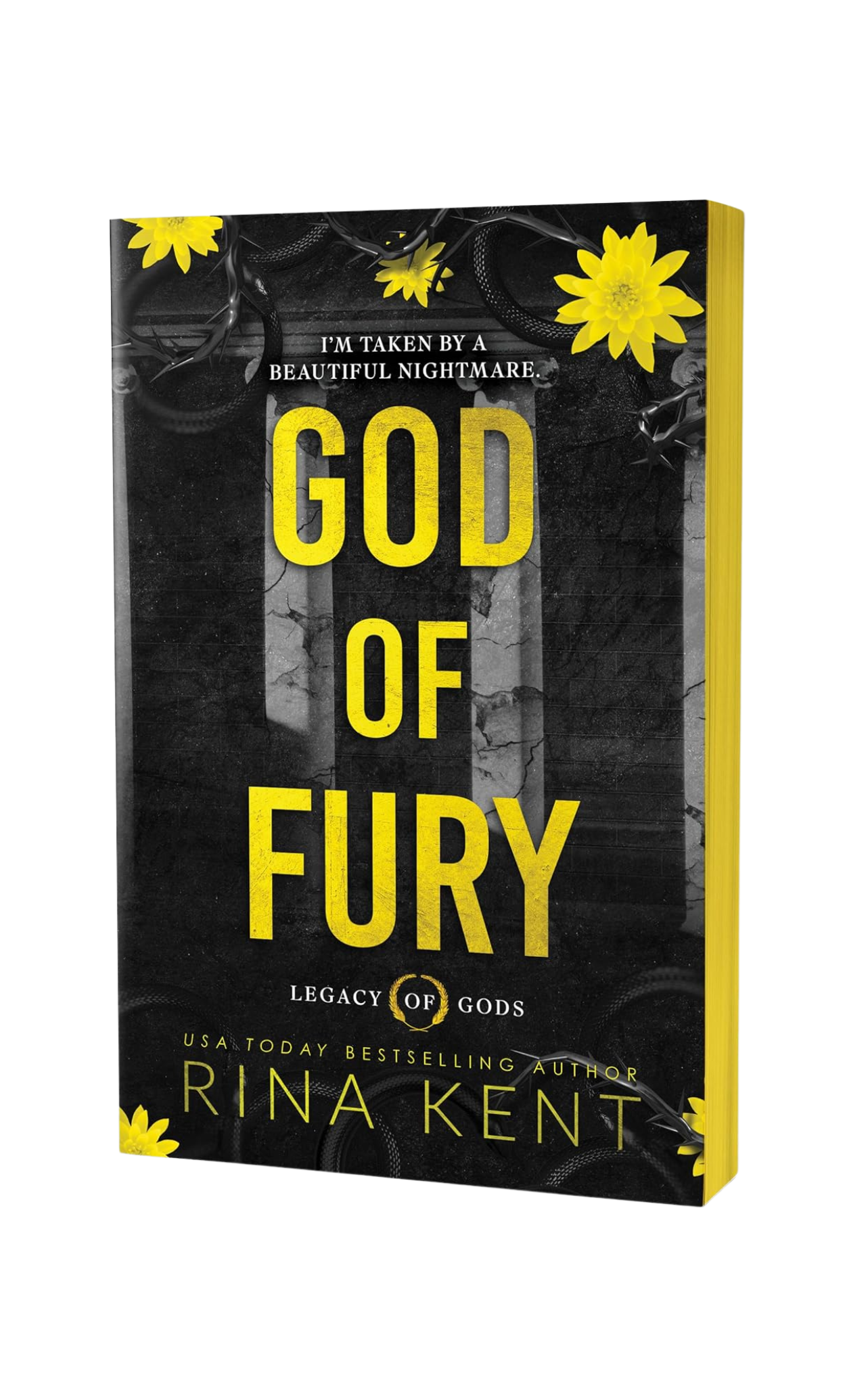 God of Fury | Deluxe Edition Paperback – The Grimoire